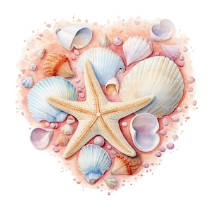 14 Sea Shells Heart Clipart, Seashell Clipart, Printable Watercolor ...