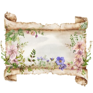 12 Various Scroll Paper Clipart, Old Paper, High Quality Jpgs ...