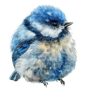 10 Blue Tit Bird Clipart Set 2, Eurasian Blue Tit, Printable Watercolor ...