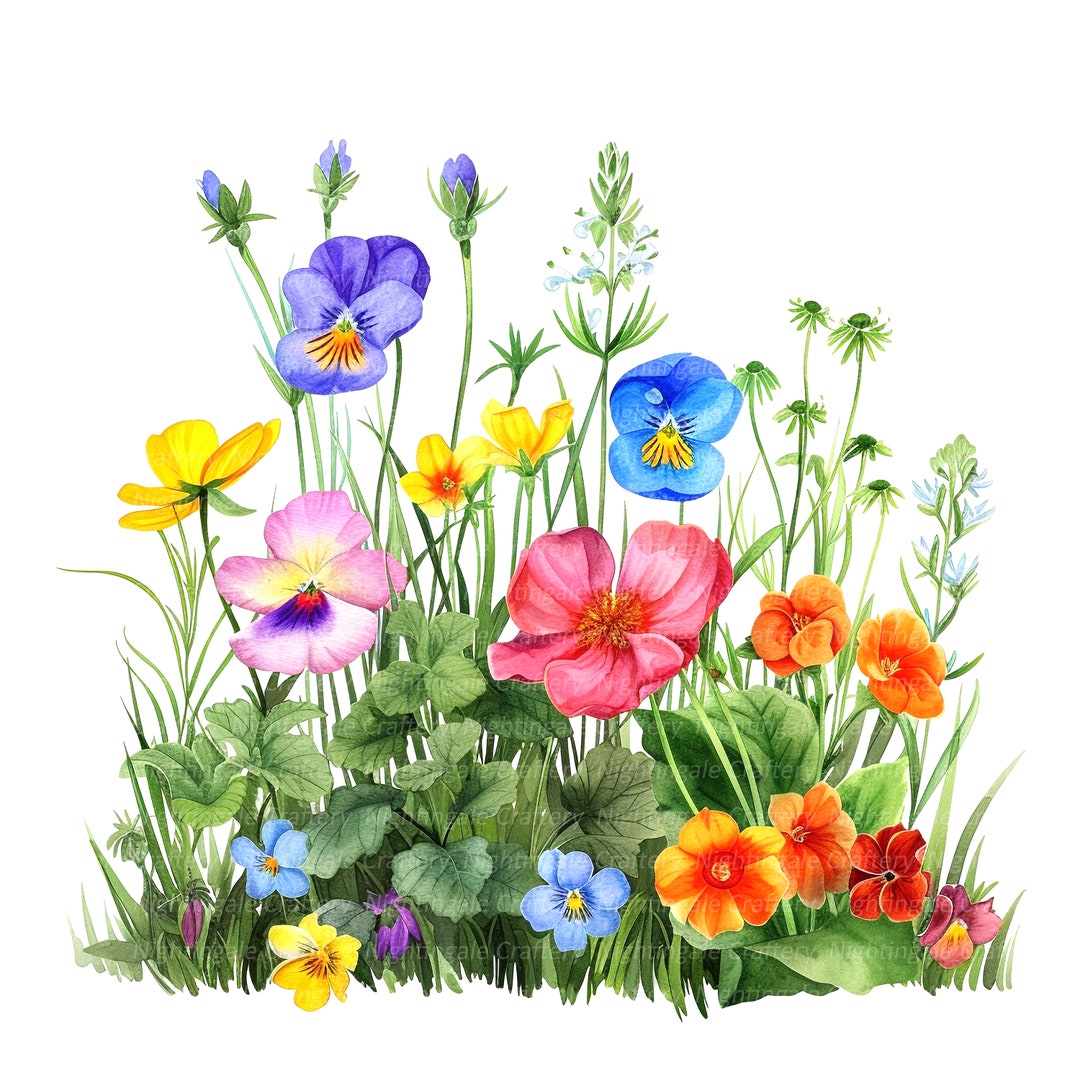 12 Spring Flowers Flowerbed Clipart, Florals, Printable Watercolor ...