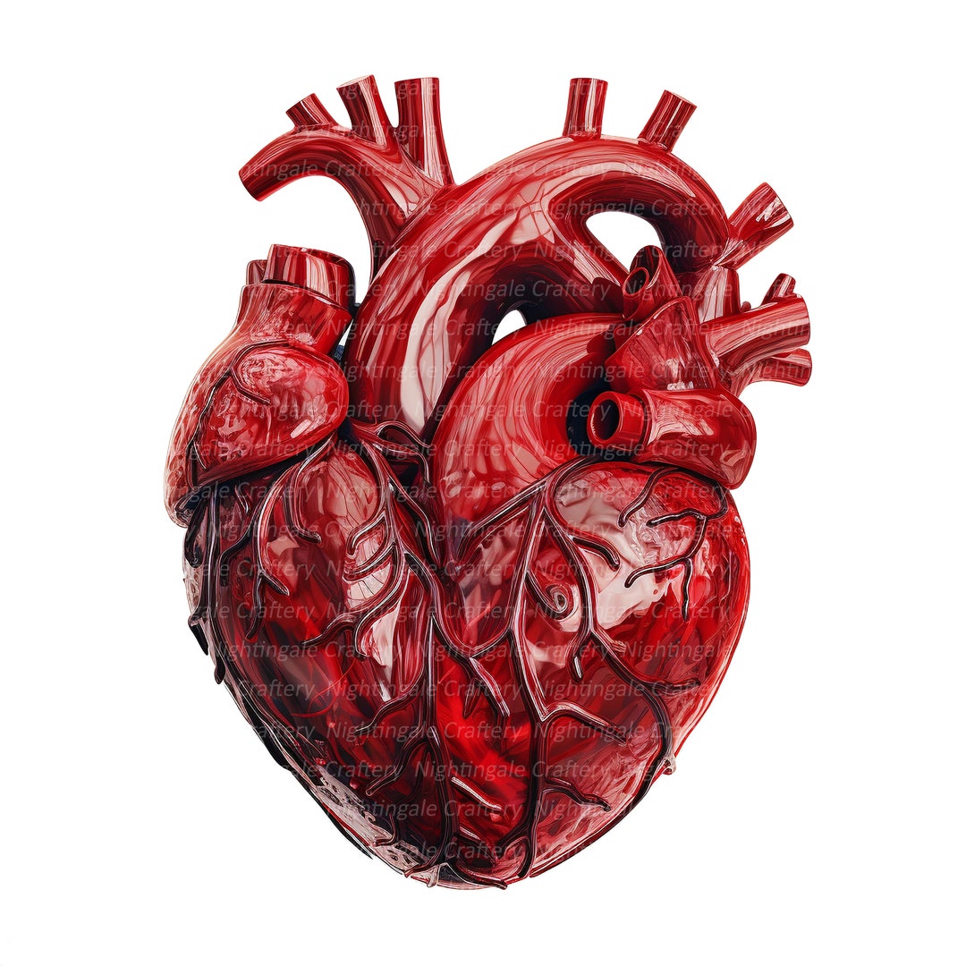 8 Human Heart Clipart, Anatomy, Halloween, Printable Watercolor Clipart ...