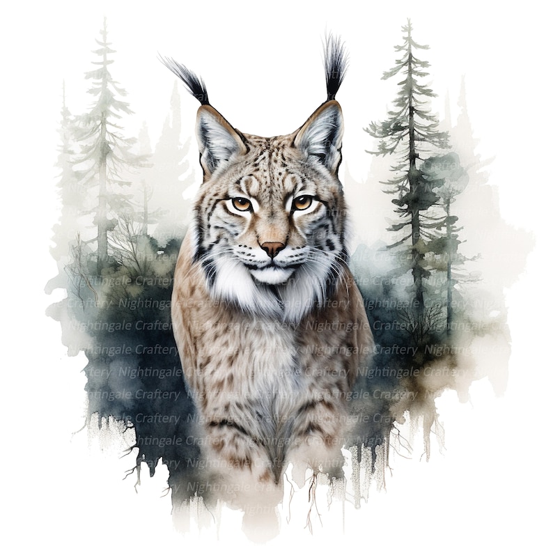 Luchs im Wald Clipart druckbare Aquarell Clipart 10 - Etsy.de