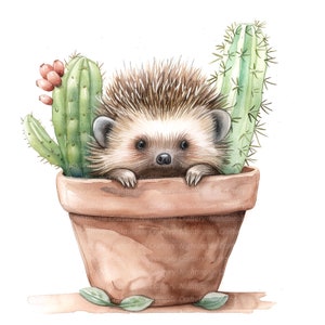 11 Hedgehog and Cactus Clipart, Cartoon Hedgehog, Printable Watercolor ...