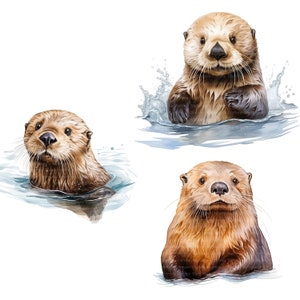 14 Otter Clipart, Sea Otter, Printable Watercolor Clipart, High Quality ...
