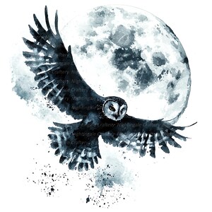 10 Owl in Moonlight Clipart, Owl Clipart, Printable Watercolor Clipart ...