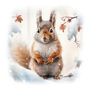 12 Cute Squirrel in Winter Clipart, Printable Watercolor Clipart, High ...
