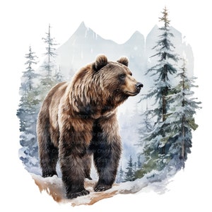 8 Bear in Winter Clipart, Printable Watercolor Clipart, High Quality ...