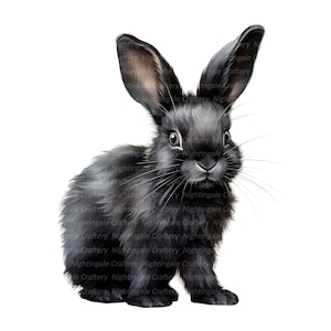 10 Black Bunny Clipart, Black Rabbit Clipart, Printable Watercolor ...