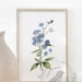Forget Me Not Printable, Forget-me-not Digital Print, Forget Me Not ...