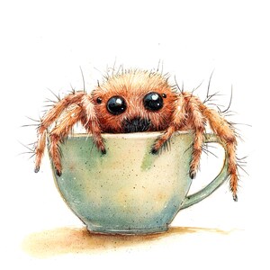 9 Spider and Tea Cup Clipart, Cute Spider, Printable Watercolor Clipart ...