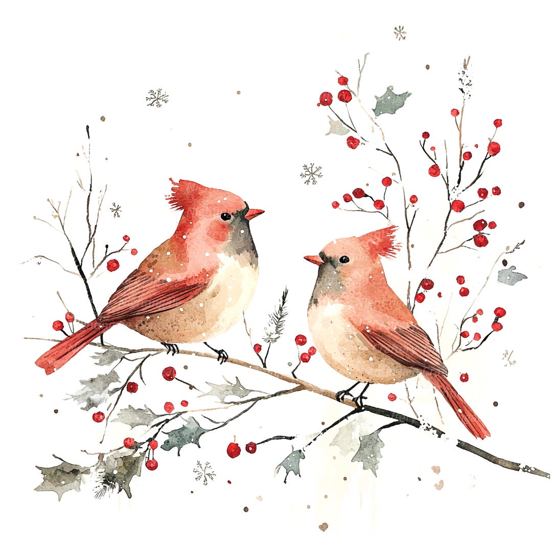 10 Christmas Birds Clipart, Red Cardinal, Robin, Printable Watercolor ...