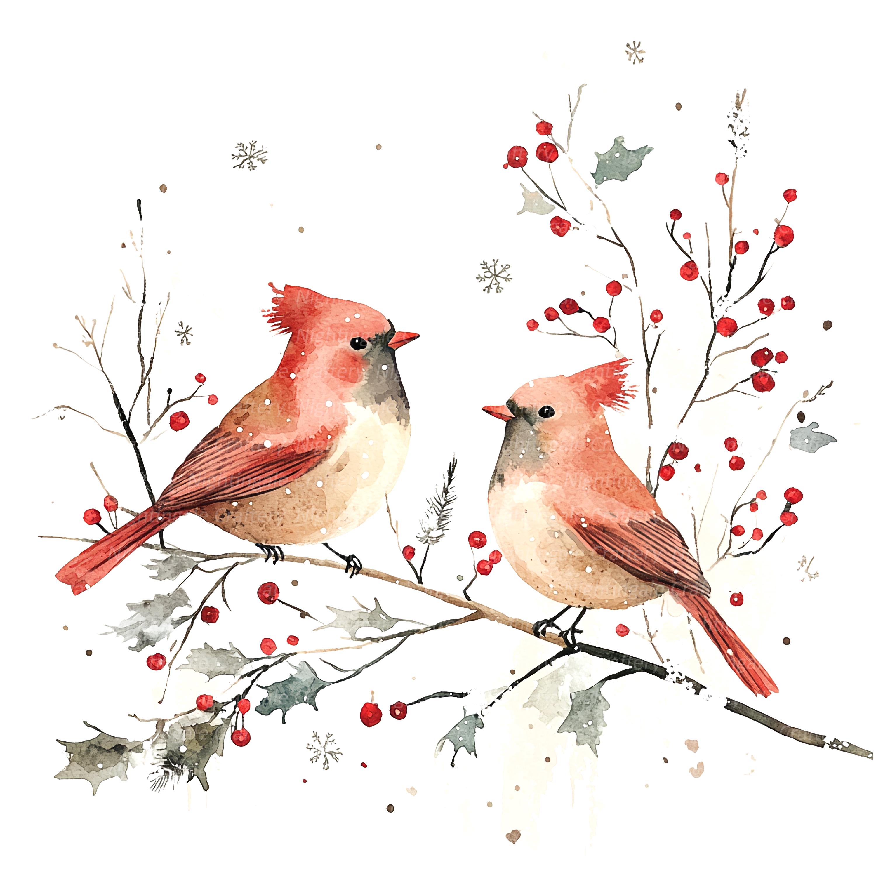 10 Christmas Birds Clipart, Red Cardinal, Robin, Printable Watercolor ...