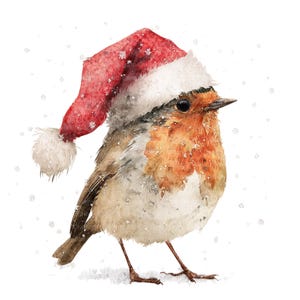 10 Christmas Robin Clipart, Christmas Card, Printable Watercolor ...
