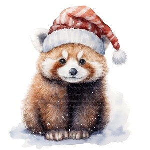 10 Red Panda With Santa Hat Clipart, Printable Watercolor Clipart, High ...