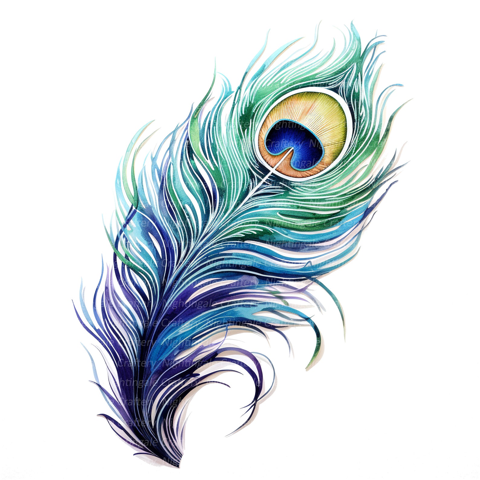 10 Peacock Feather Clipart, Gorgeous Peacock, Printable Watercolor ...