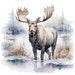 10 Moose in Winter Clipart, Printable Watercolor Clipart, High Quality ...