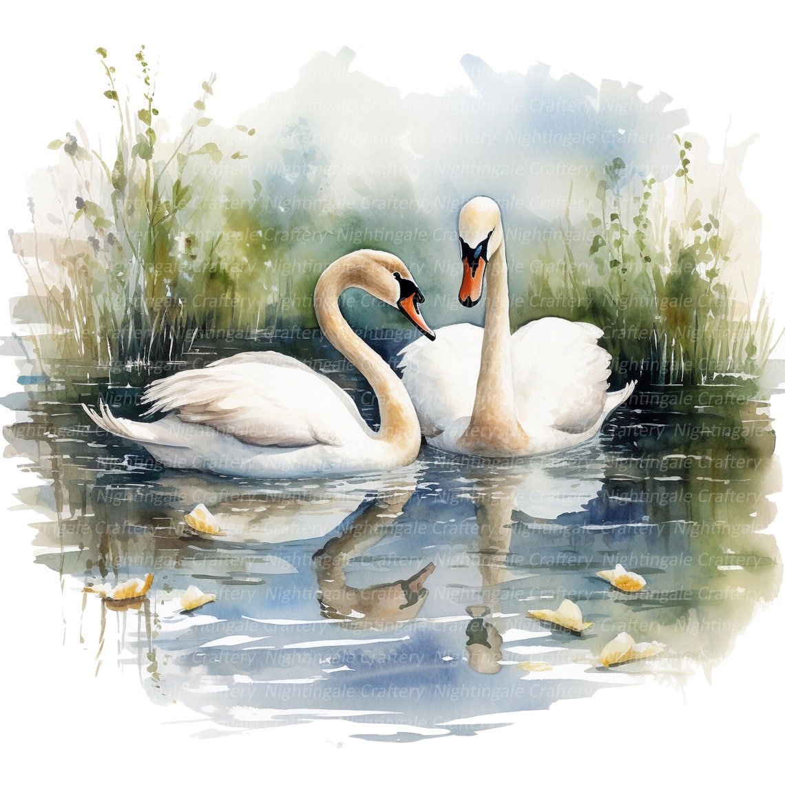 12 Swan Couple Clipart, Swans, Printable Watercolor Clipart, High ...