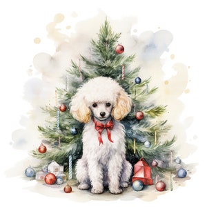 14 Christmas Poodle Clipart, Pudel, Printable Watercolor Clipart, High ...