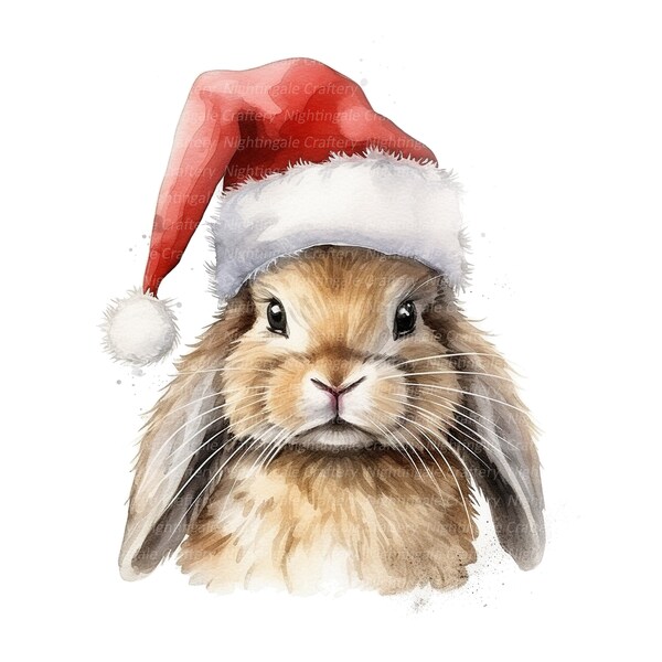 Bunny Clipart - Etsy