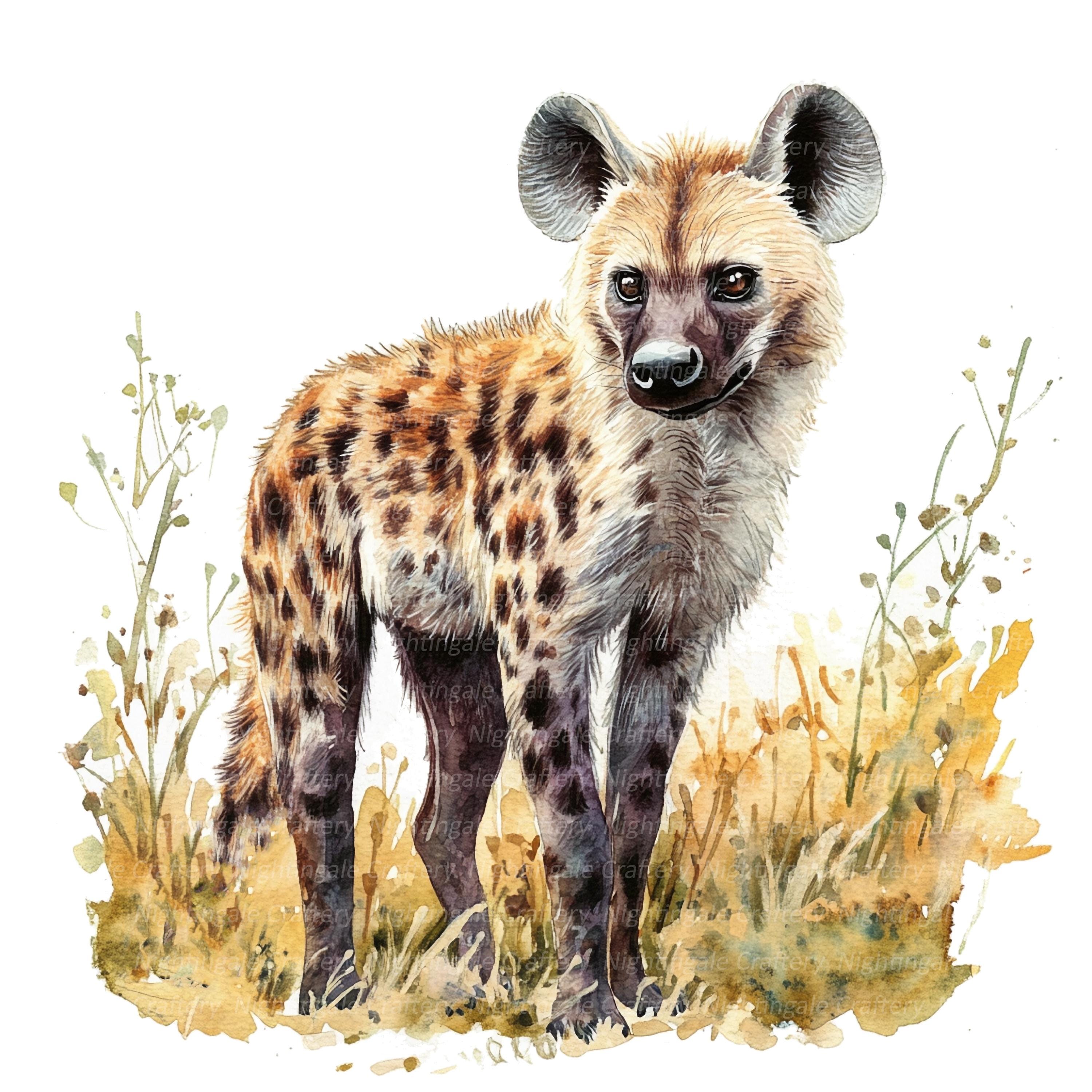 10 Hyena Clipart, Watercolor Hyaena, Printable Watercolor Clipart, High ...