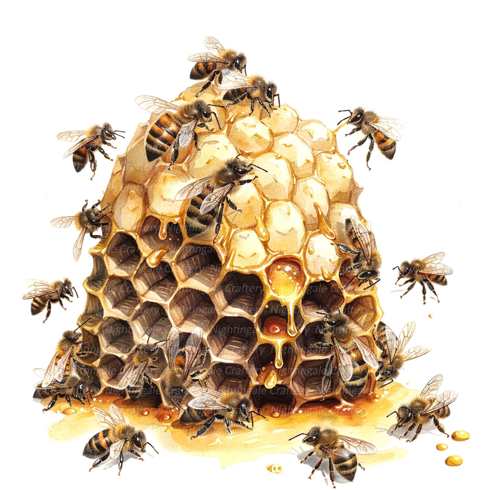 10 Bees Clipart, Honey Clipart, Beehive, Printable Watercolor Clipart ...
