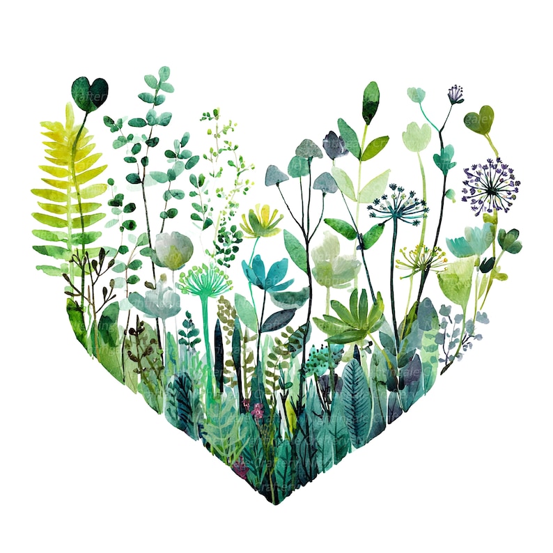 8 Forest Plants Heart Clipart, Floral Heart, Digital Clipart ...