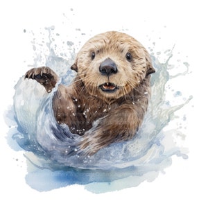 14 Otter Clipart, Sea Otter, Printable Watercolor Clipart, High Quality ...