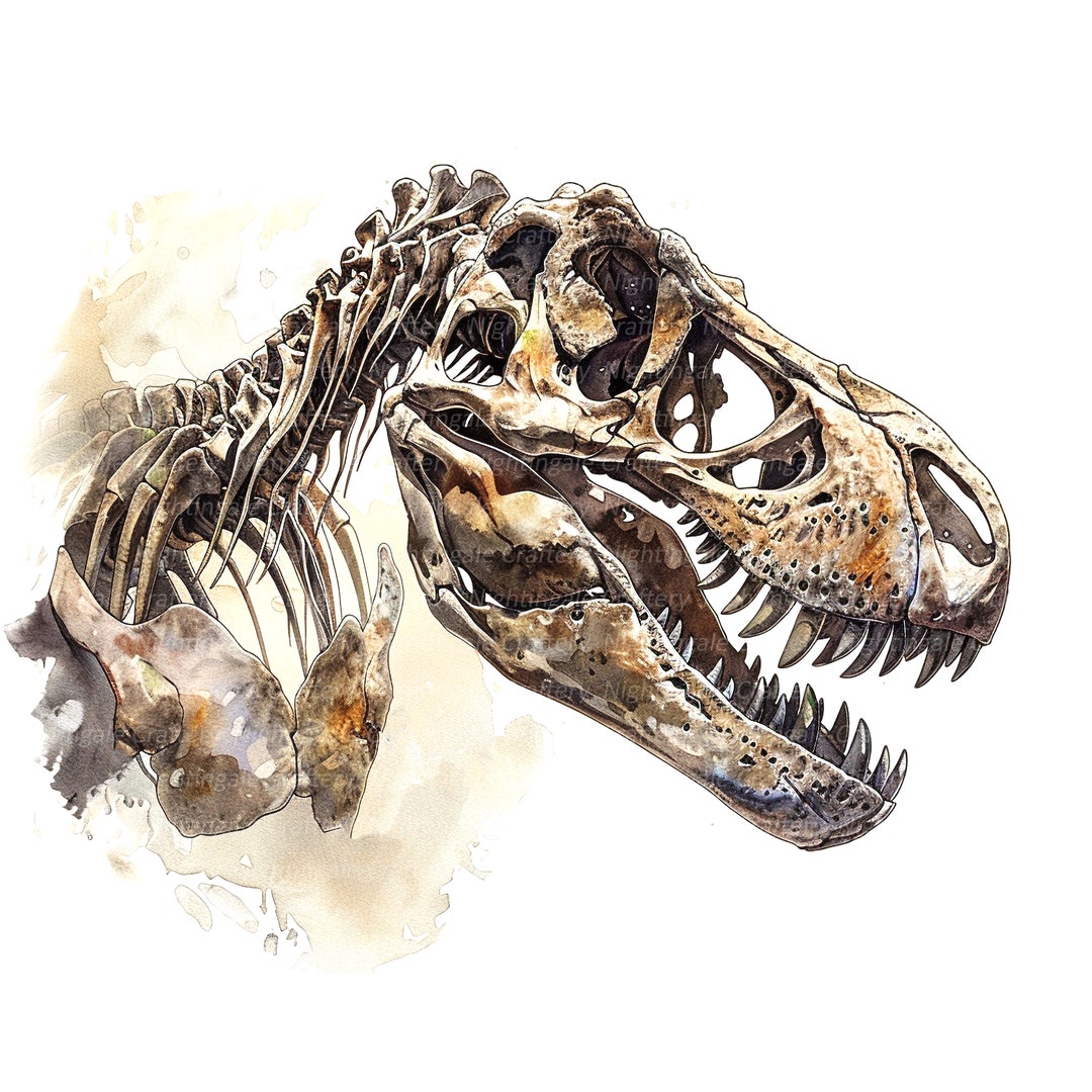 10 T Rex Skeleton Clipart, Tyrannosaurus Skull, Printable Watercolor ...