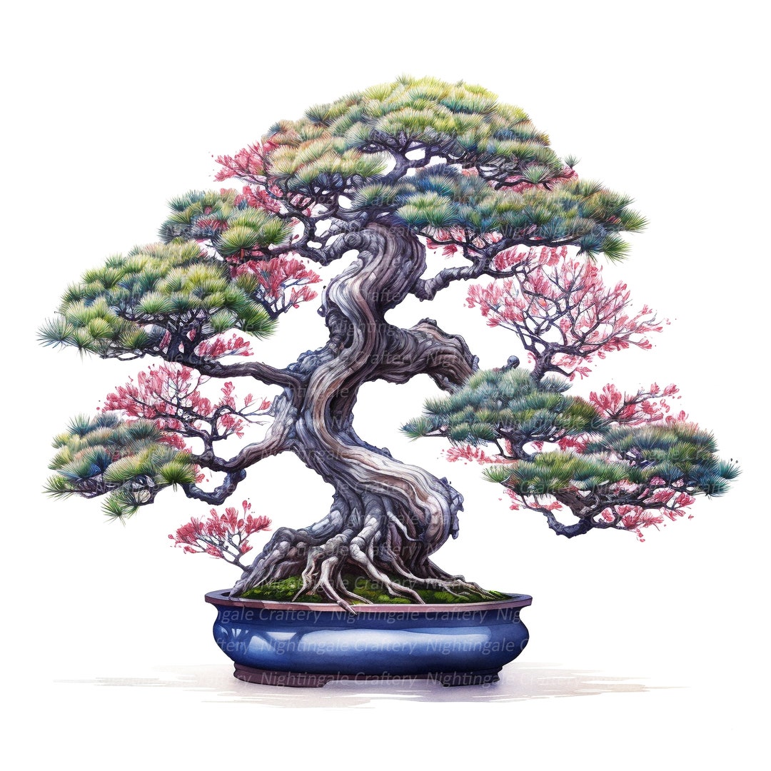 14 Bonsai Tree Clipart, Mini Tree Clipart, Printable Watercolor Clipart ...
