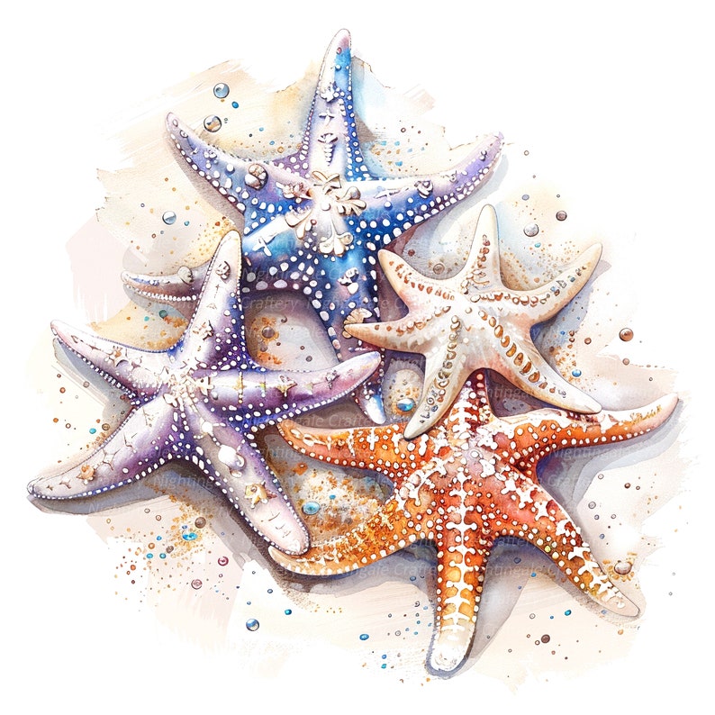 12 Starfish Clipart, Starfish in Beach, Printable Watercolor Clipart ...