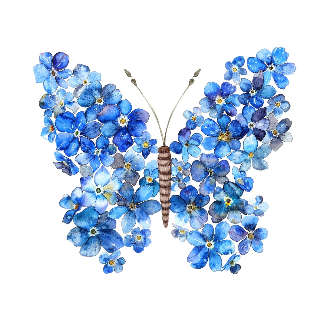 12 Forget Me Not Butterfly Clipart, Floral, Printable Watercolor ...