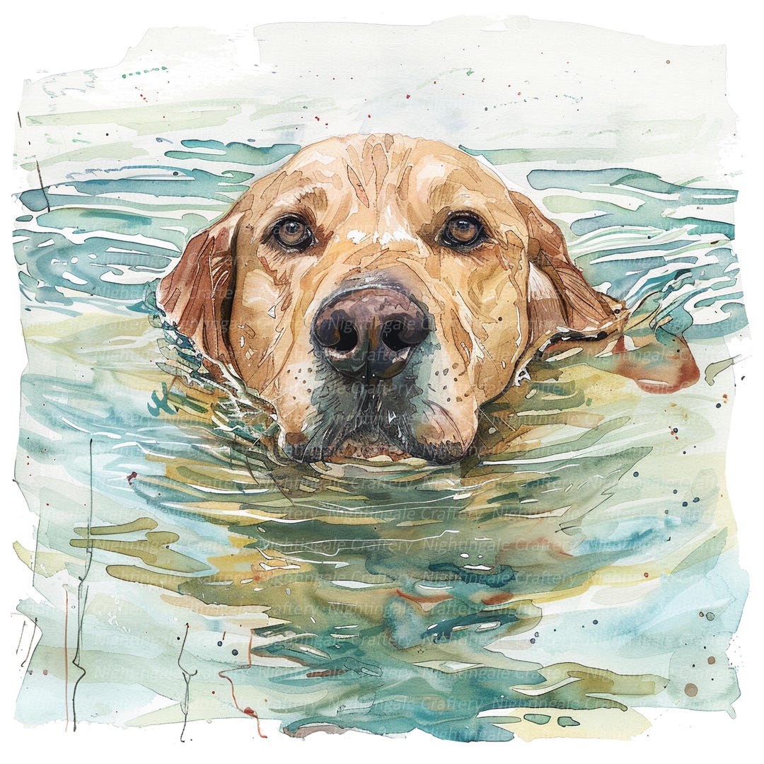 12 Golden Labrador Swimming Clipart, Dog Swim, Printable Watercolor ...