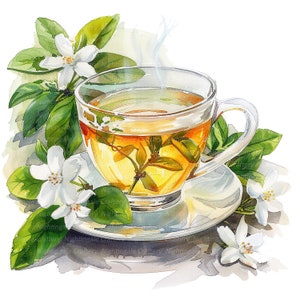 12 Jasmine Tea Clipart, Tea Cup Clipart, Printable Watercolor Clipart ...