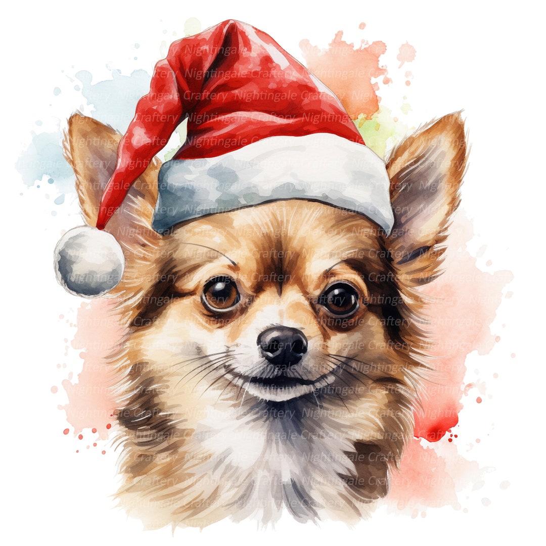 10 Chihuahua With Santa Hat Clipart Printable Watercolor - Etsy