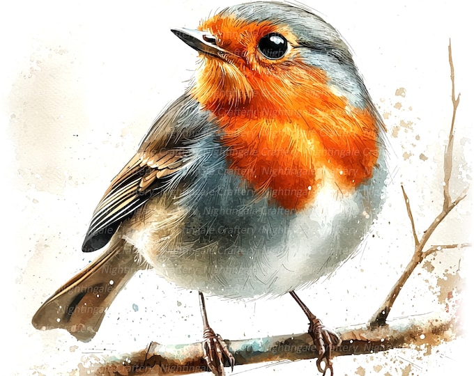 14 Christmas Robin Clipart, Robin Love, Printable Watercolor Clipart ...