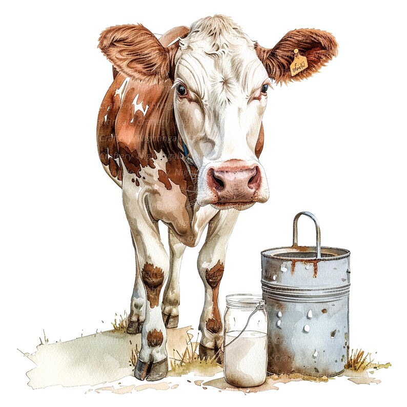 8 Milk Cow Baby Clipart, Calf, Milk Clipart, Printable Watercolor ...