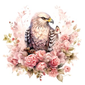 10 Floral Hawk Clipart, Adorable, Digital Clipart, Watercolor Clipart ...