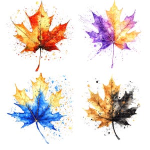 16 Coloured Autumn Leaves Clipart, Maple Leaf, Printable Watercolor ...
