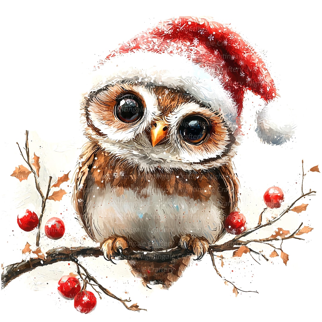 9 Christmas Owl Clipart Set 2, Christmas Card, Printable Watercolor ...