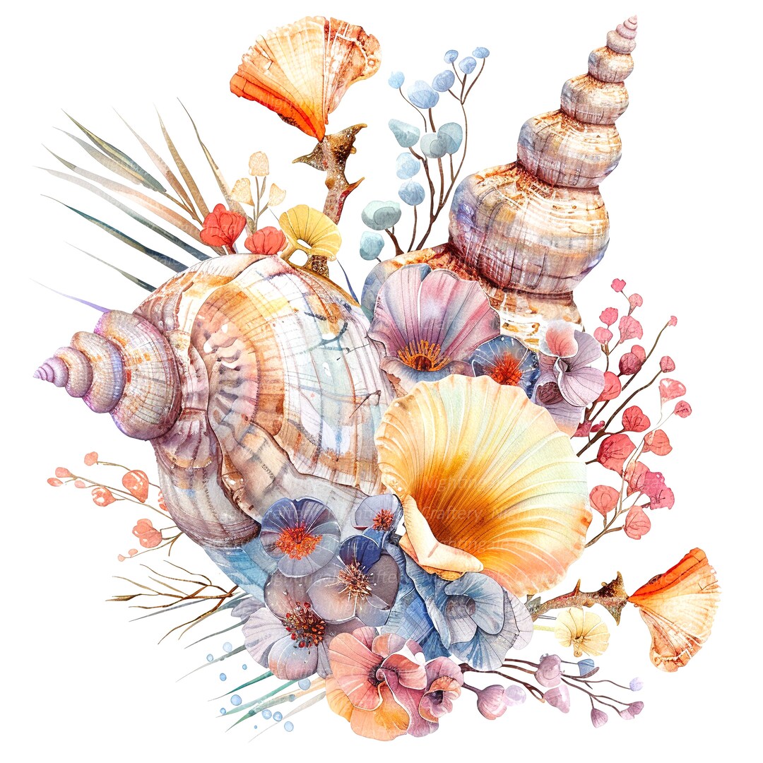10 Floral Seashells Clipart, Sea Shells Clipart, Printable Watercolor ...