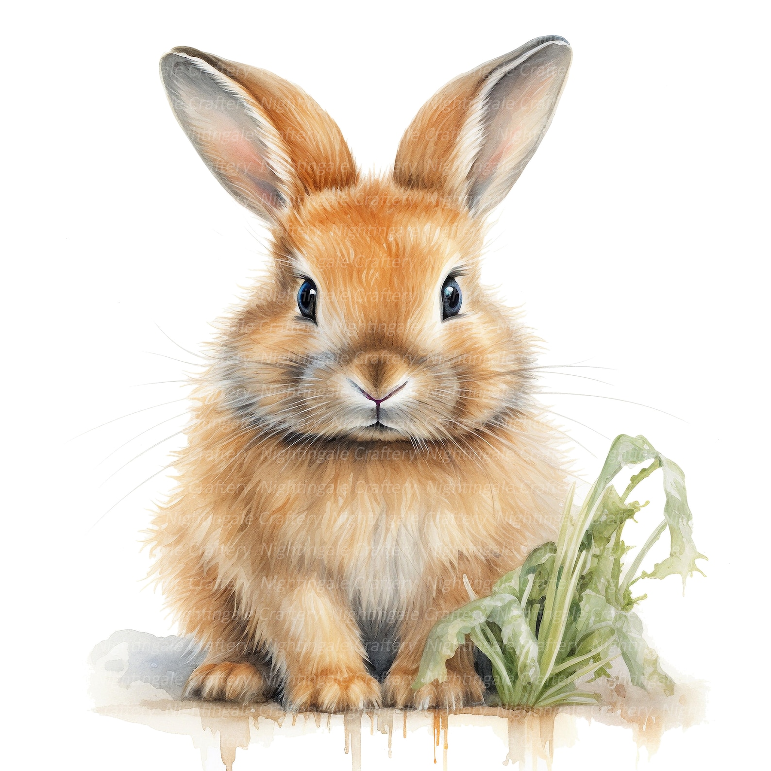 12 Fluffy Bunny Clipart Set 2, Rabbit Clipart, Printable Watercolor ...