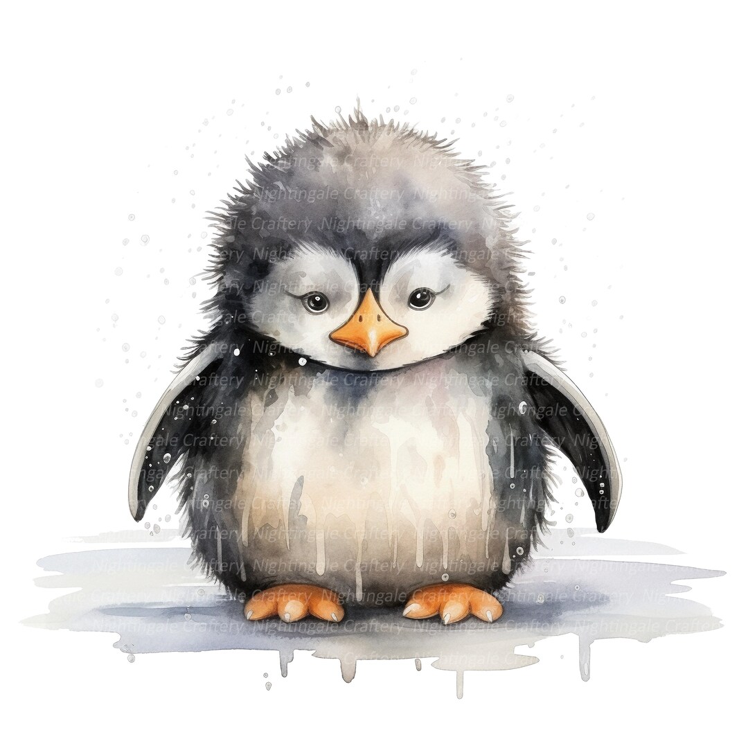 10 Grumpy Penguin Clipart, Cute Penguin Clipart, Digital Clipart ...