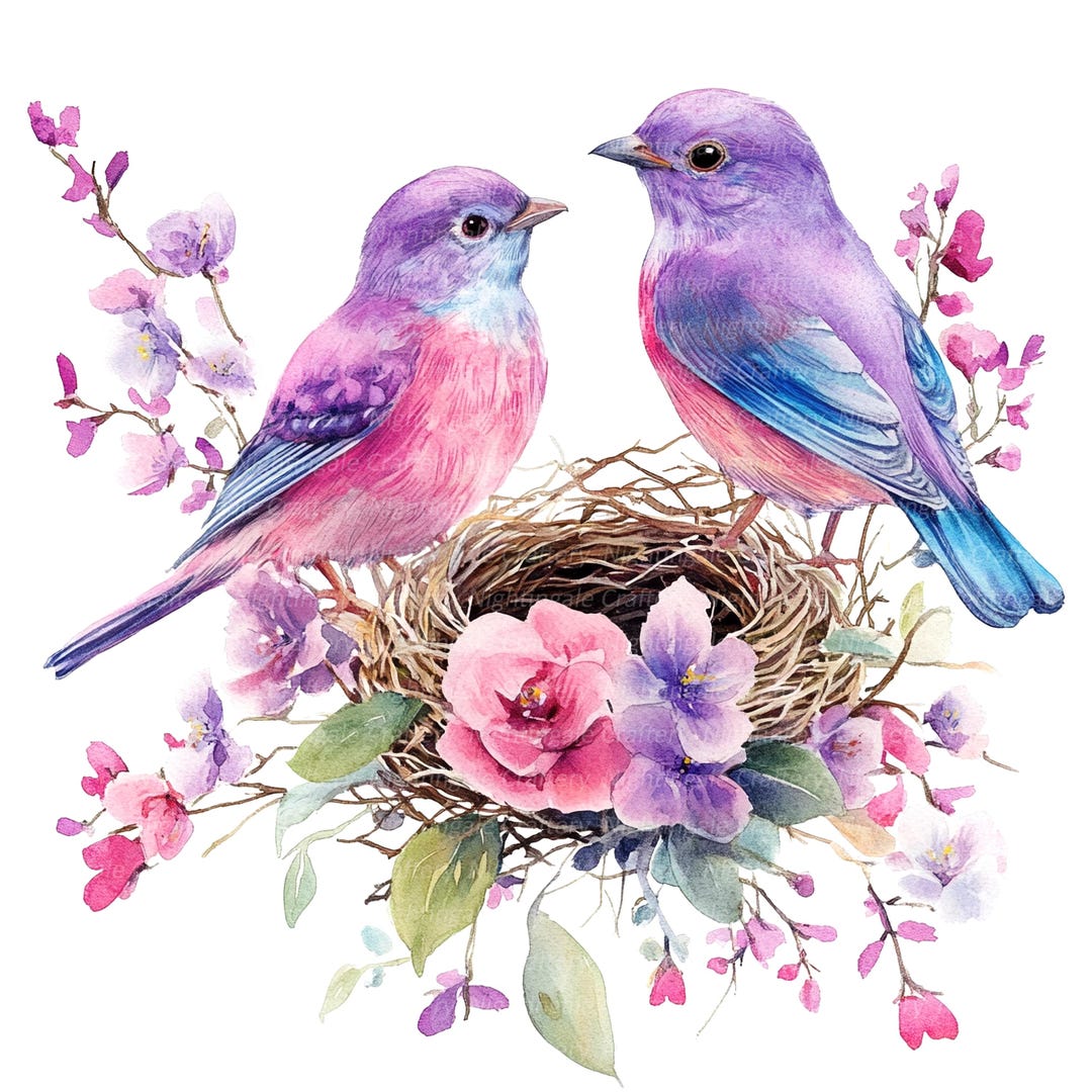 10 Spring Bird Nest Clipart, Floral Nest Clipart, Printable Watercolor ...