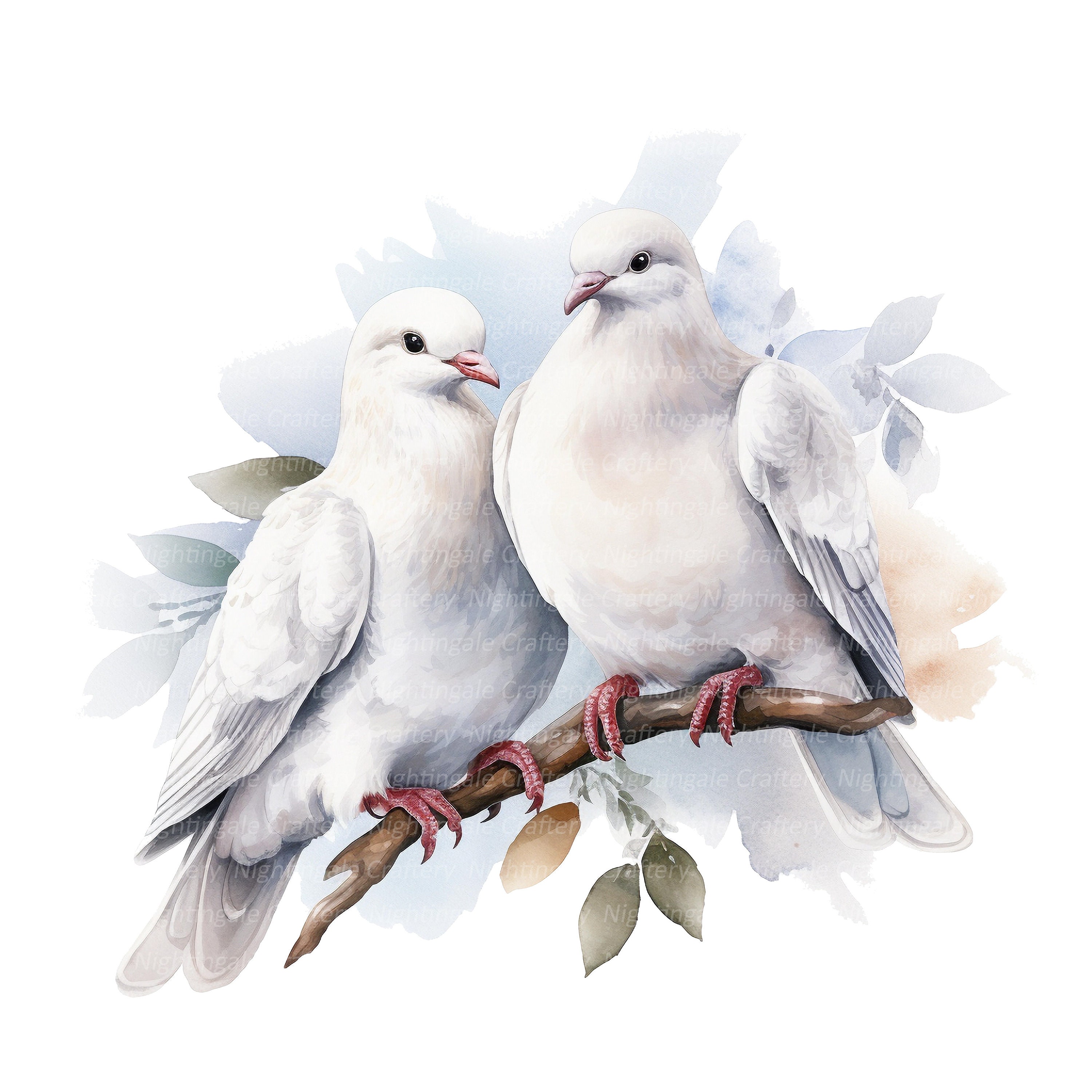 11 White Doves Couple Clipart, Peace Dove, Printable Watercolor Clipart ...