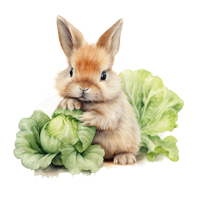 12 Fluffy Bunny Clipart Set 2 Rabbit Clipart Printable - Etsy Australia