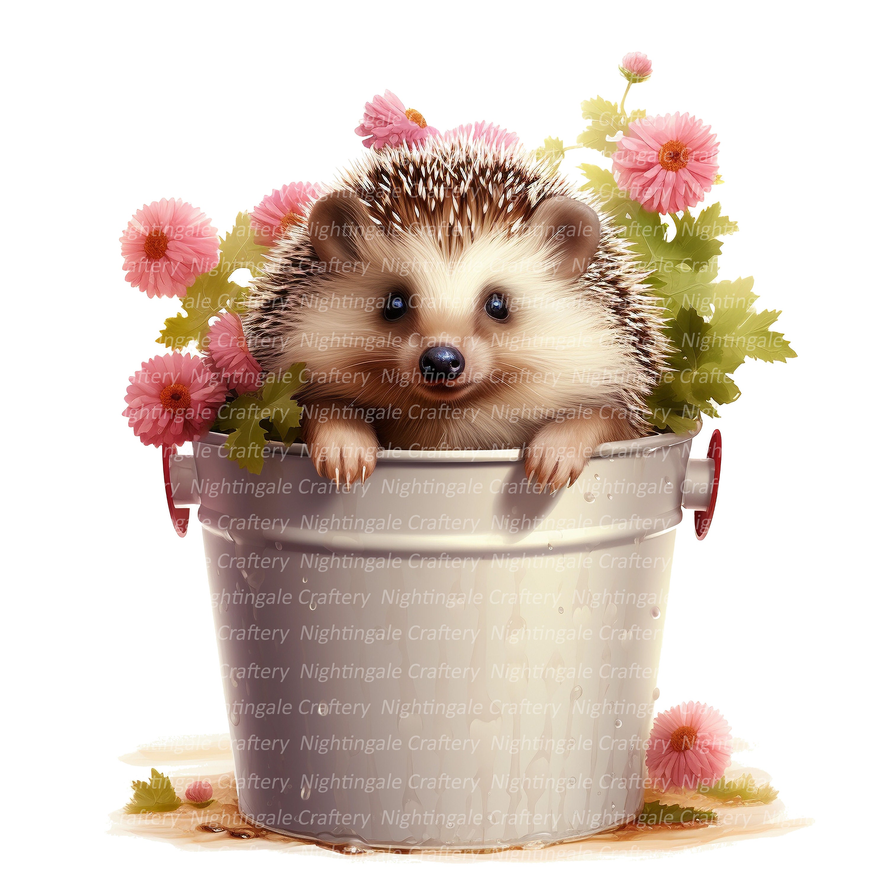 Cute Hedgehog Clipart Printable Watercolor Clipart 10 High - Etsy