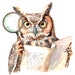 10 Owl With Magnifying Glass Clipart, Digital Clipart, Watercolor ...