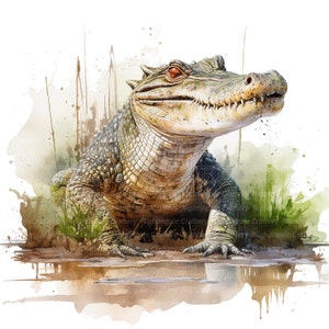 10 Crocodile Clipart, Crocodile in Swamp, Printable Watercolor Clipart ...