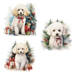 14 Christmas Poodle Clipart, Pudel, Printable Watercolor Clipart, High ...