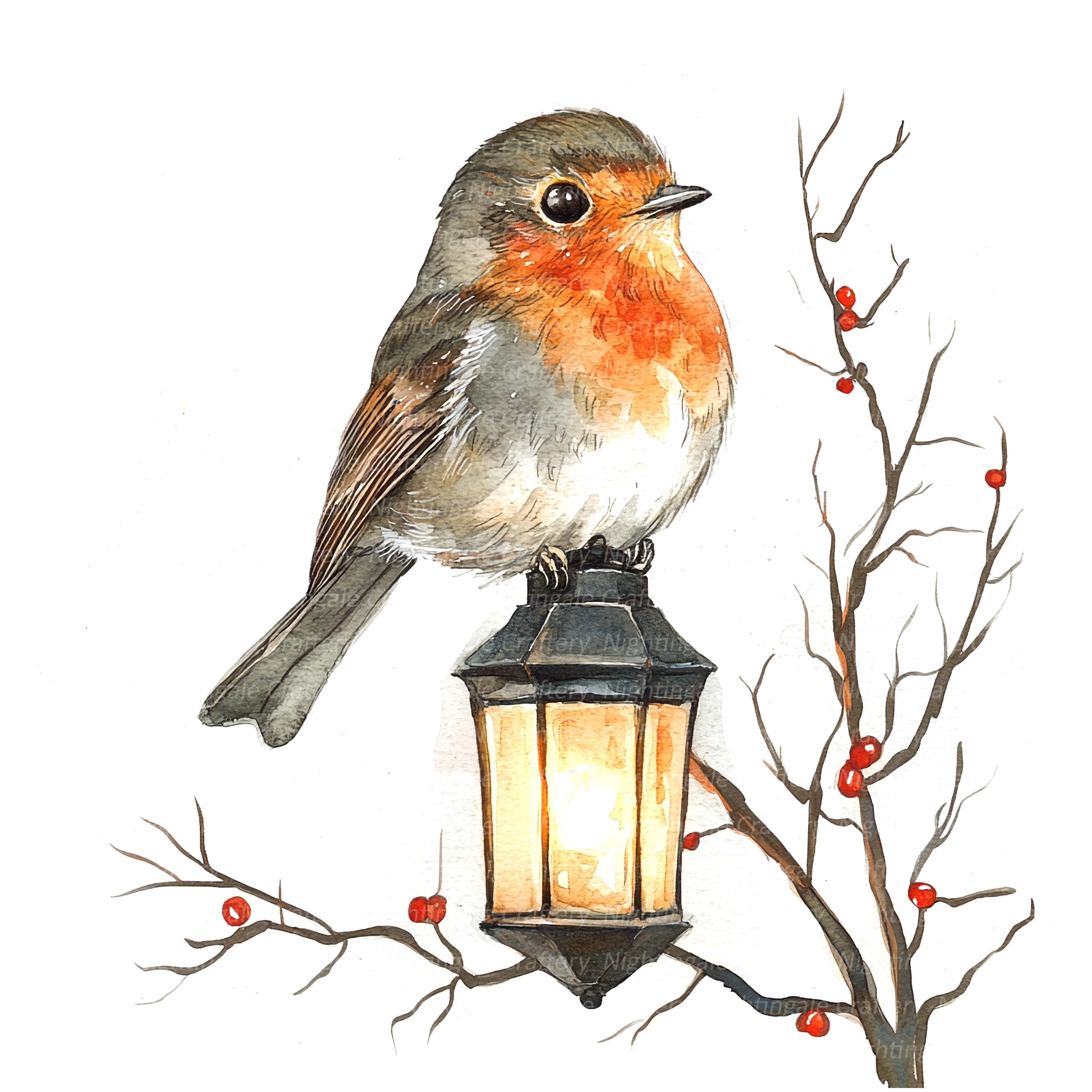 12 Robin and Lantern Clipart, Christmas Robin, Printable Watercolor ...